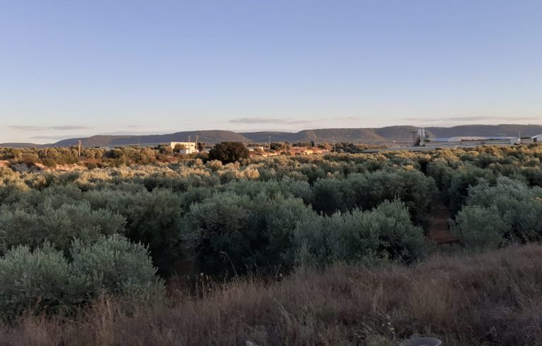 The Four Seasons of Italy and What They Offer - ItalianNotebook - Italy ...